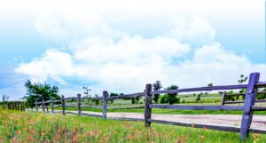 North Sky Celina - A highly amenitized community in Celina, Texas